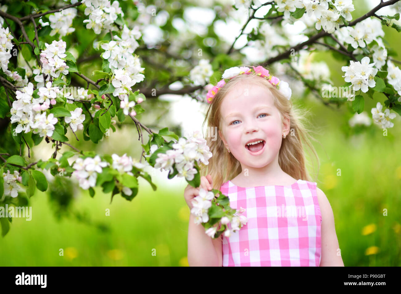 Adorable little girl in blooming apple tree garden on beautiful spring day Stock Photo - Alamy