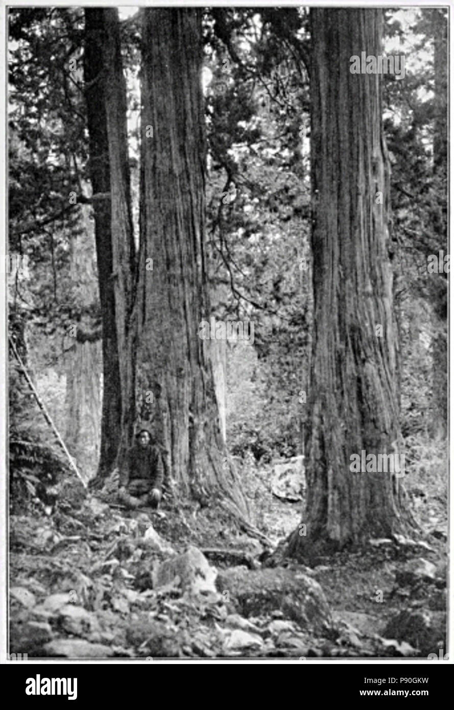 Kama valley hi-res stock photography and images - Alamy