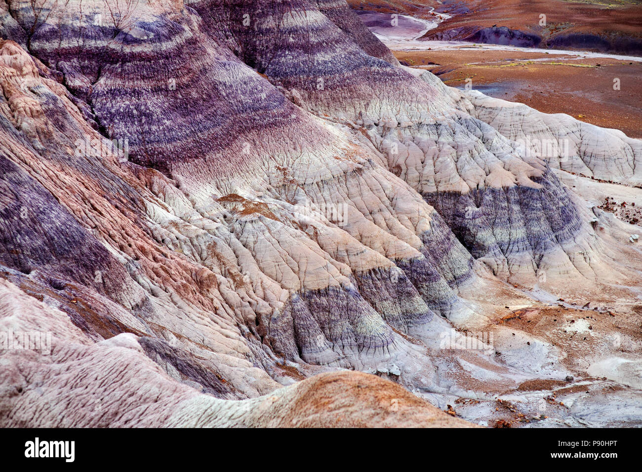 Striped purple sandstone formations of Blue Mesa badlands in Petrified ...