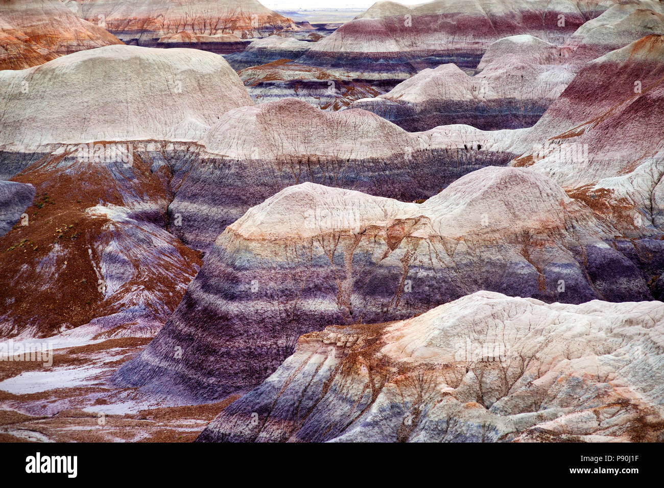 Striped purple sandstone formations of Blue Mesa badlands in Petrified ...
