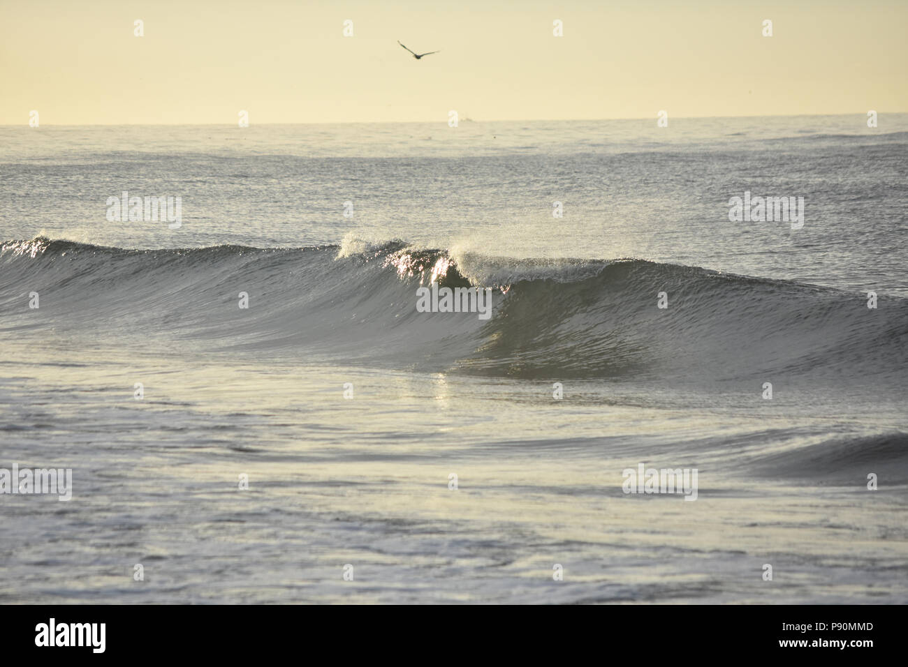 Stunning large wave about to crash into the coast Stock Photo - Alamy