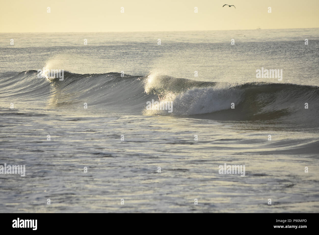 Stunning large waves forming during a sunrise Stock Photo - Alamy