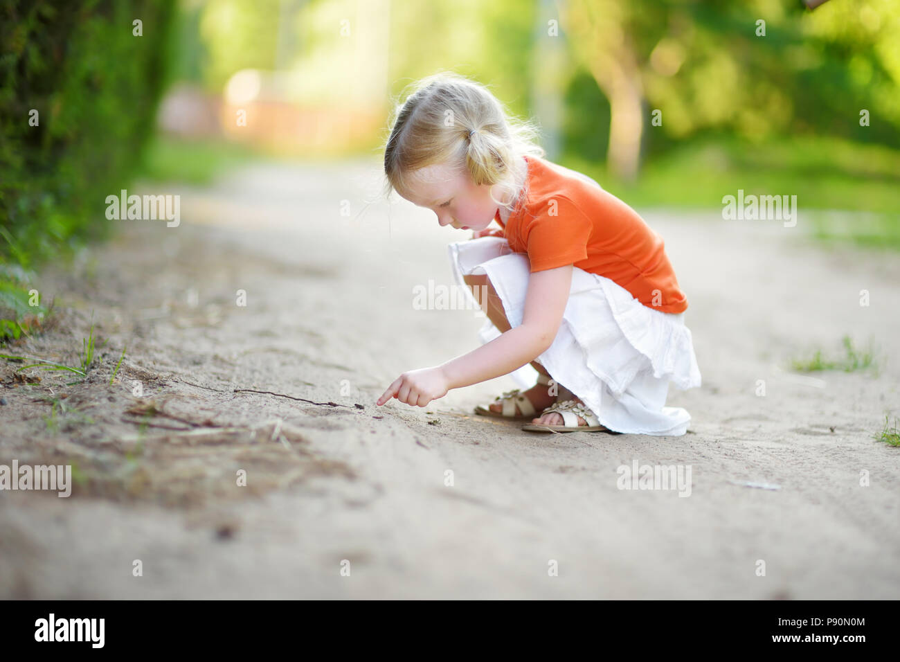 Frog catching insect hi-res stock photography and images - Alamy