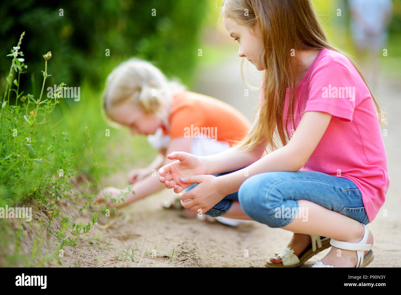 Frog Catching Insect Stock Photos & Frog Catching Insect Stock Images ...