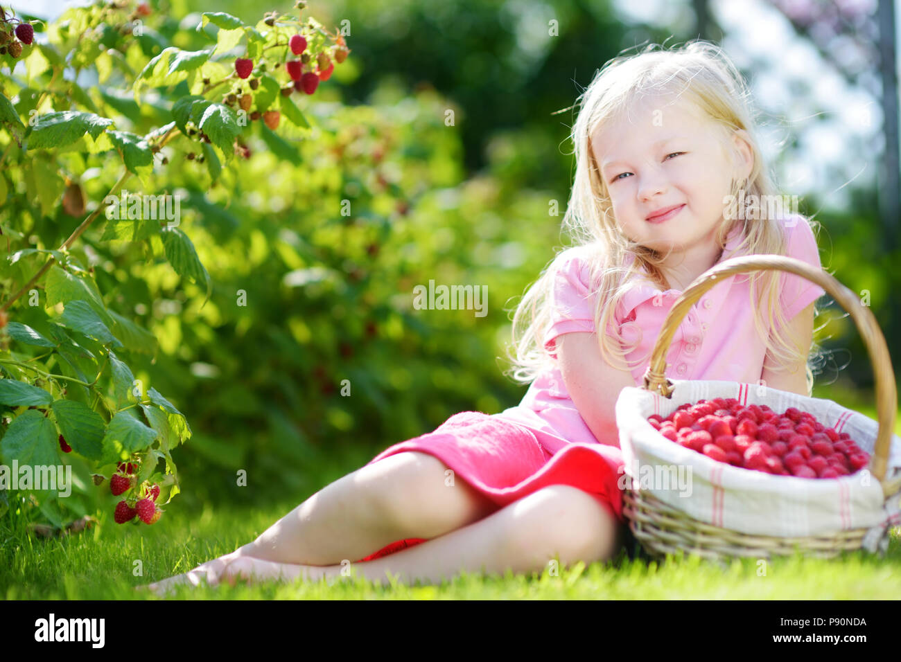 Cute little girl picking fresh berries on organic raspberry farm on ...