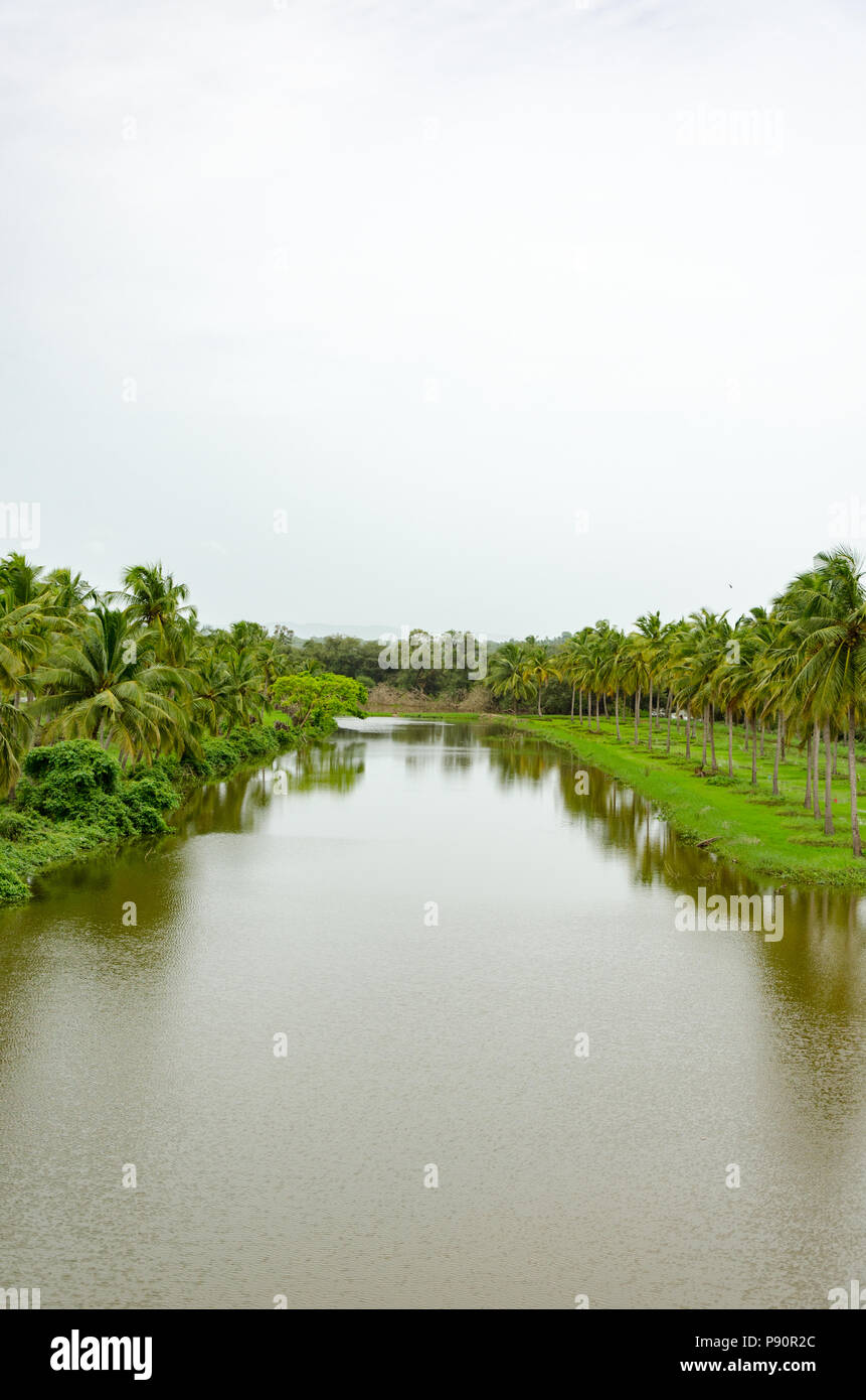 Mirror flat waters of Sal River lined with coconut trees along the ...