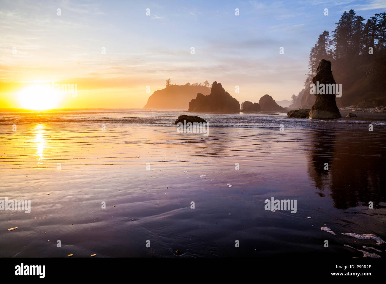 Kalaloch beach olympic national park hi-res stock photography and ...