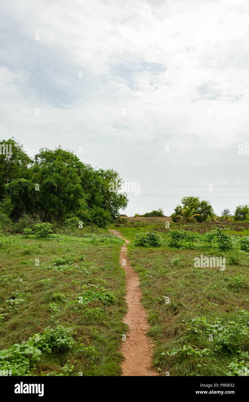 Walking path leading to Betul Beach, Cavelossim, Goa, India Stock Photo ...