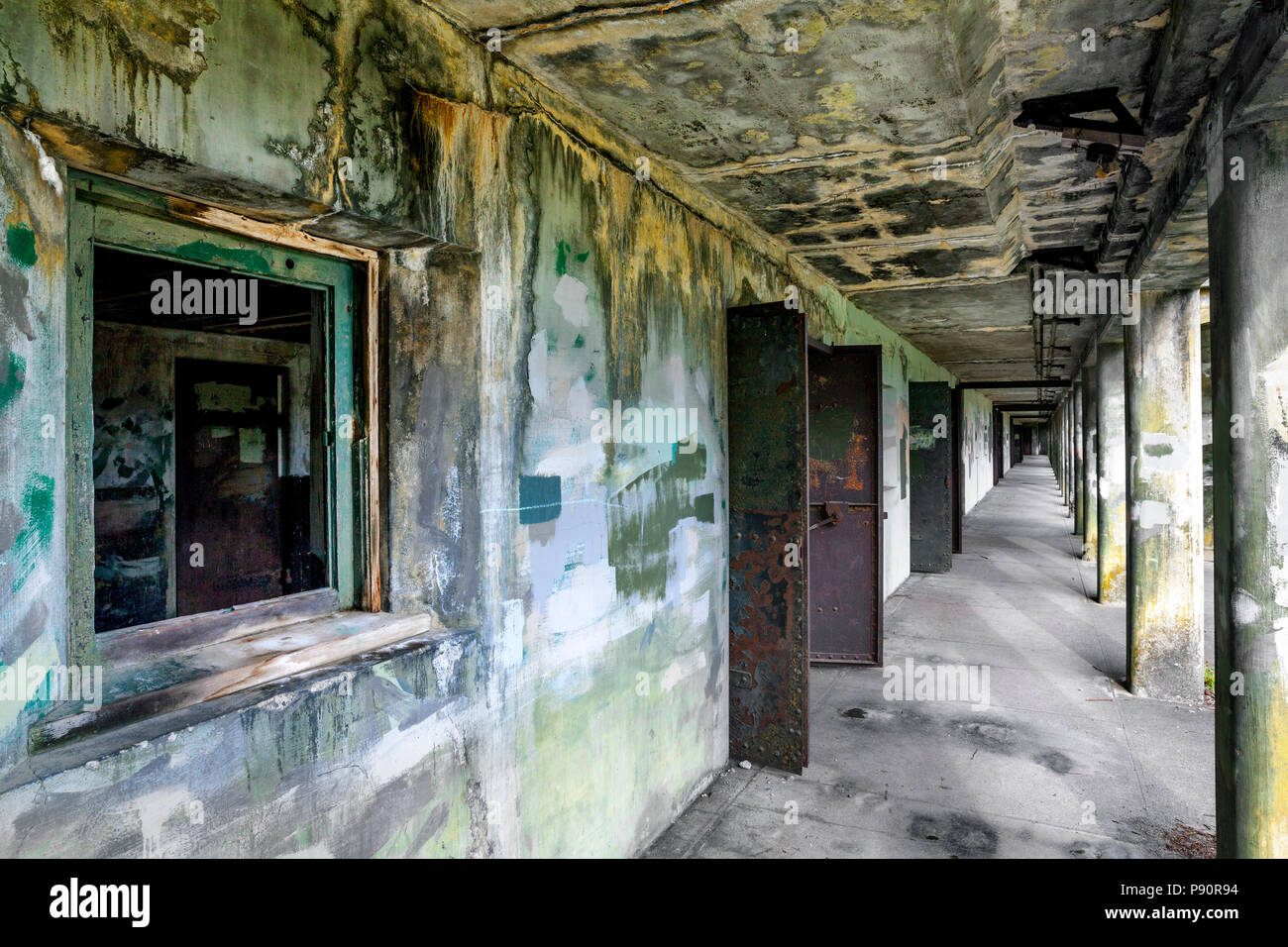 WA14527-00...WASHINGTON - Abstract image of hall with paint swatches at ...