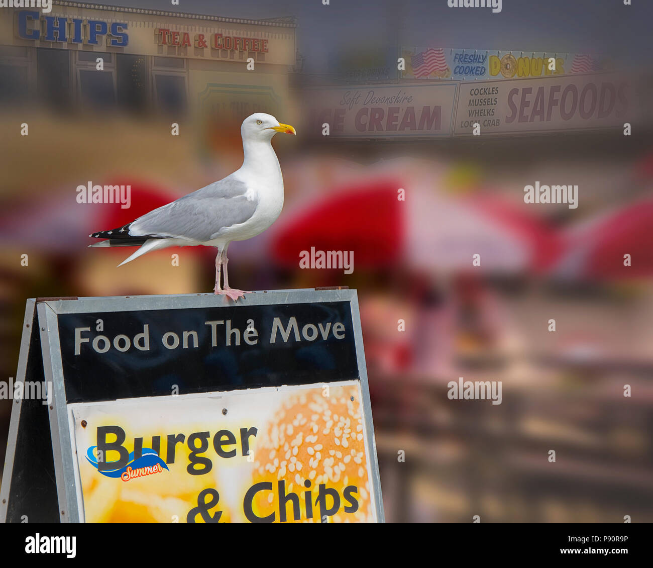 Seagull chips hi-res stock photography and images - Alamy