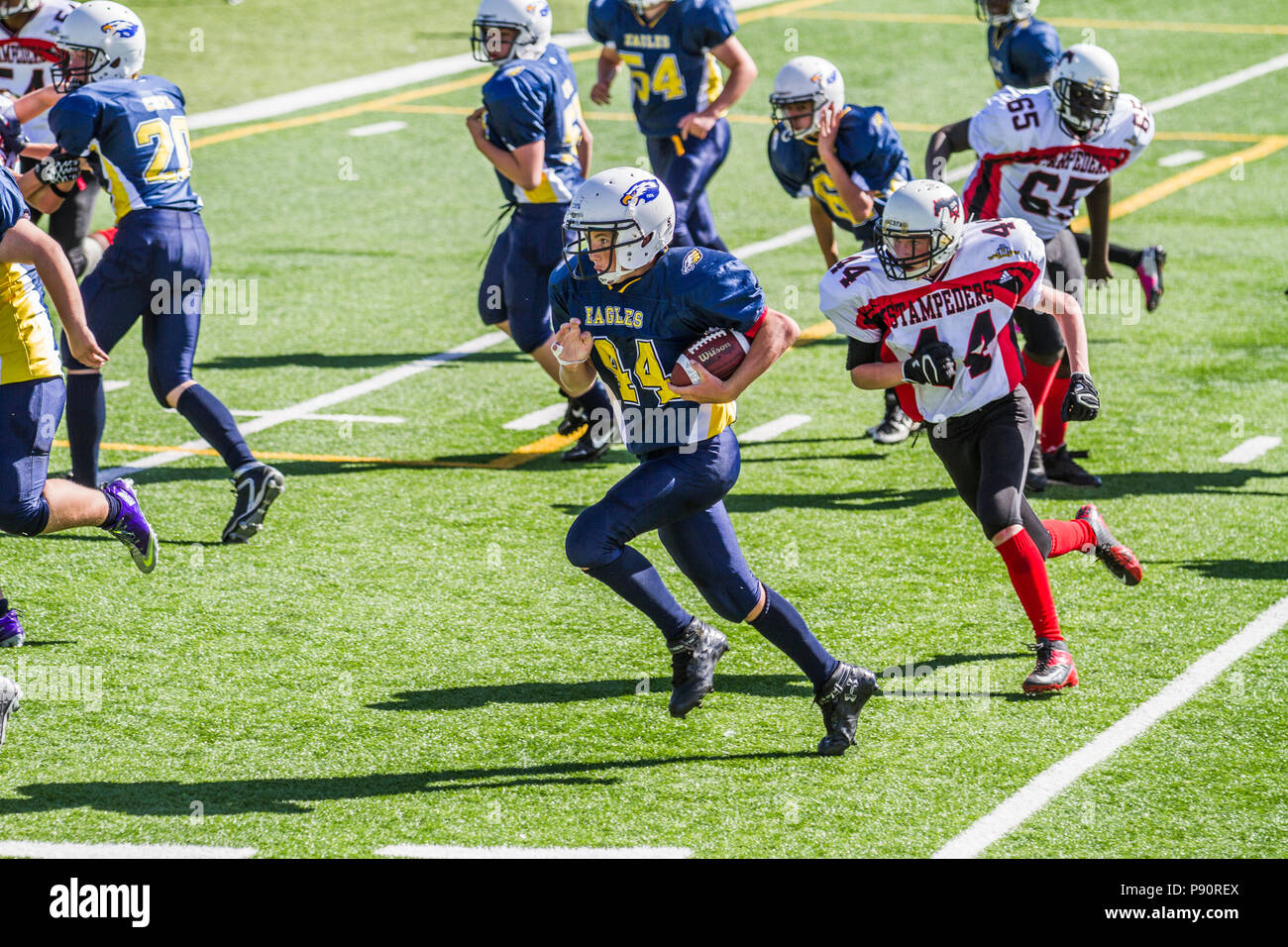 Dramatic, colorful action photo's of Boys Bantam football in Calgary ...