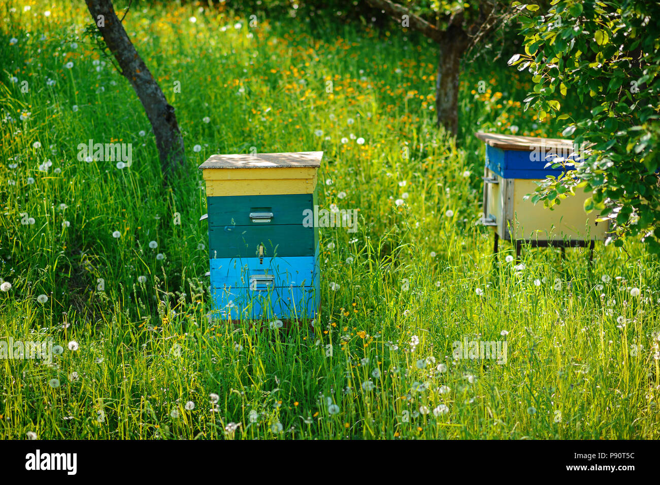 Polish landscape with beehives on ecological field Stock Photo - Alamy