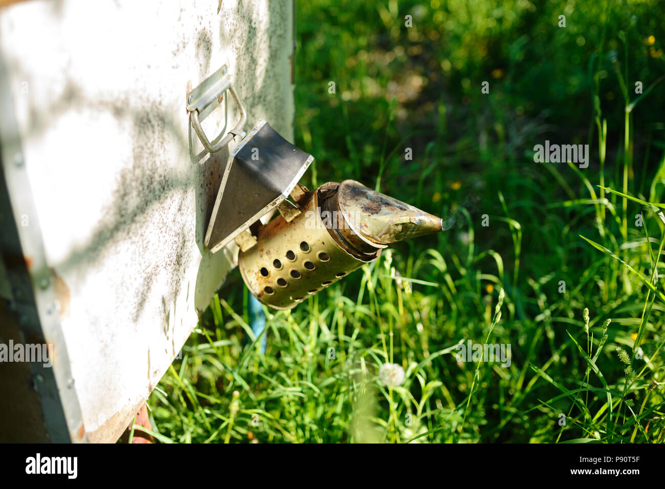 The beekeeper makes smoke. Bee with beehive and frames Stock Photo - Alamy