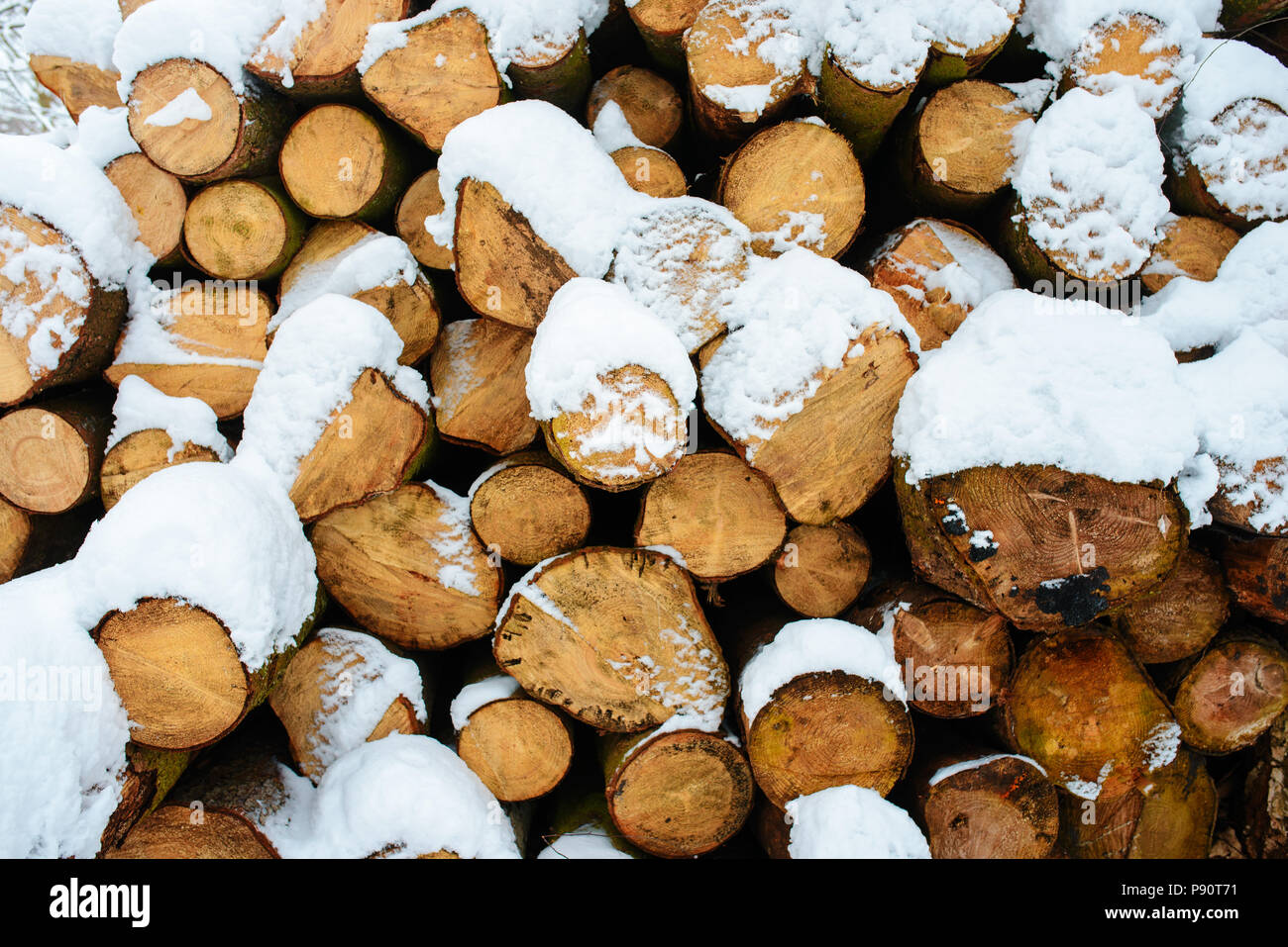 Logging stack in the forest during the winter Stock Photo - Alamy Logging stack in the forest during the winter Stock Photo - Alamy