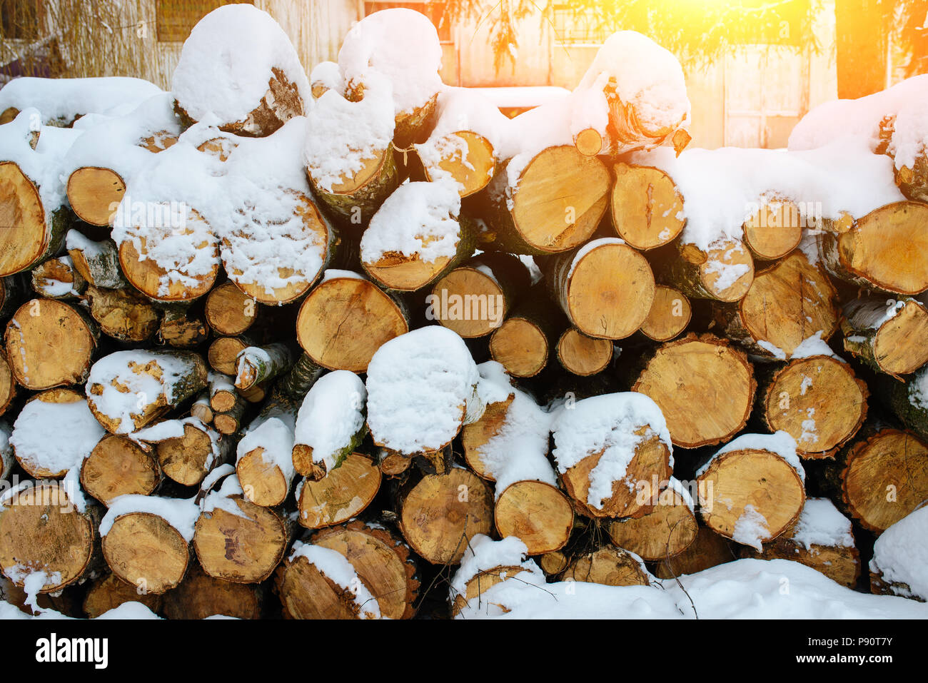 Logging stack in the forest during the winter Stock Photo - Alamy Logging stack in the forest during the winter Stock Photo - Alamy