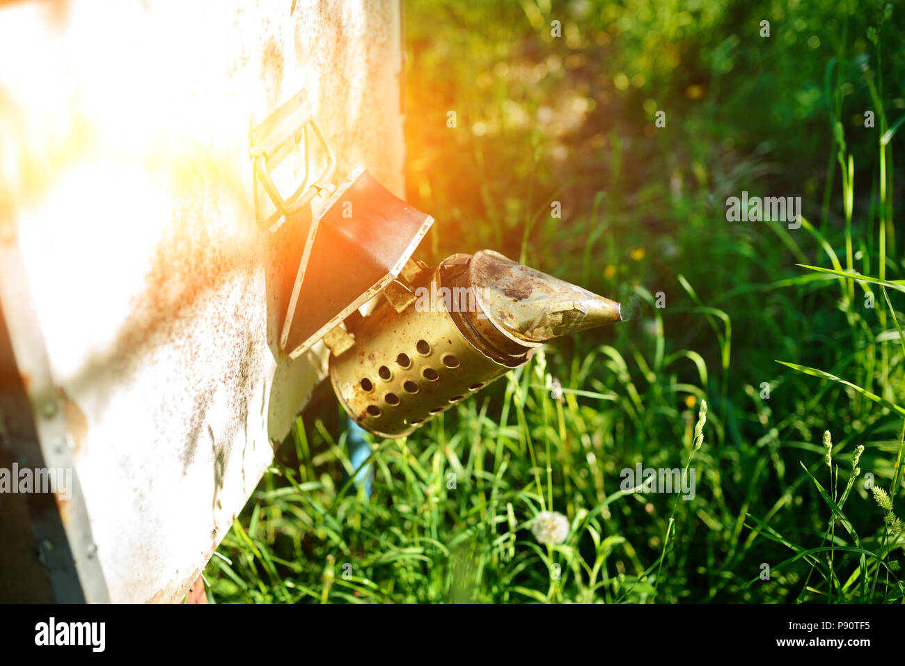 The beekeeper makes smoke. Bee with beehive and frames Stock Photo - Alamy