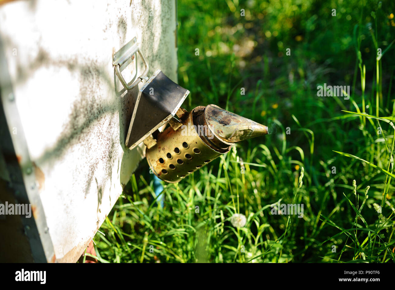 The beekeeper makes smoke. Bee with beehive and frames Stock Photo - Alamy