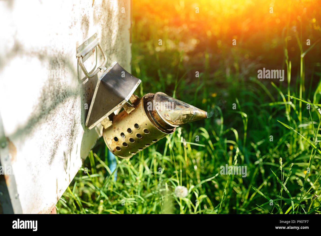 The beekeeper makes smoke. Bee with beehive and frames Stock Photo - Alamy