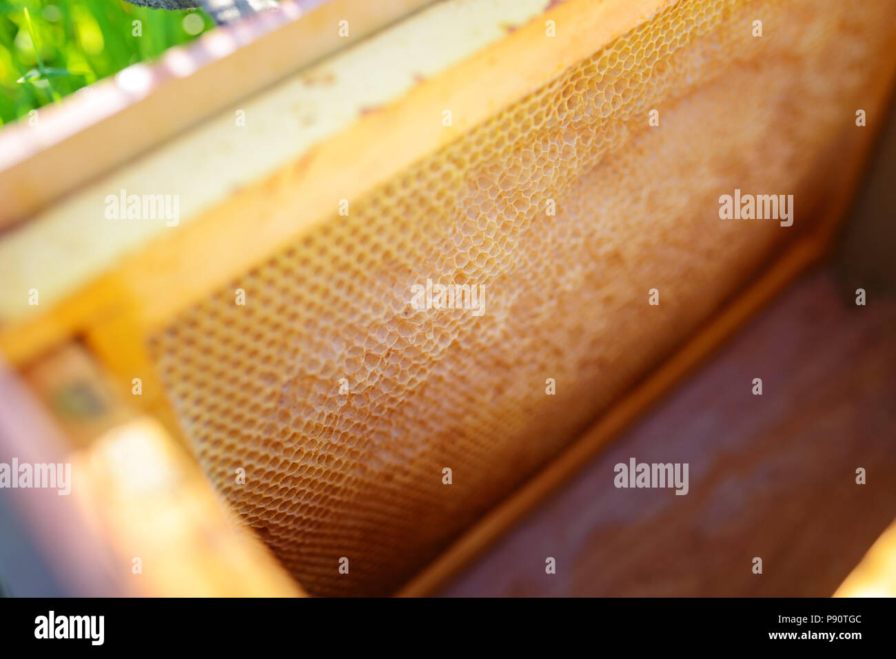 Full Repeat Pattern High Resolution Stock Photography and Images - Alamy