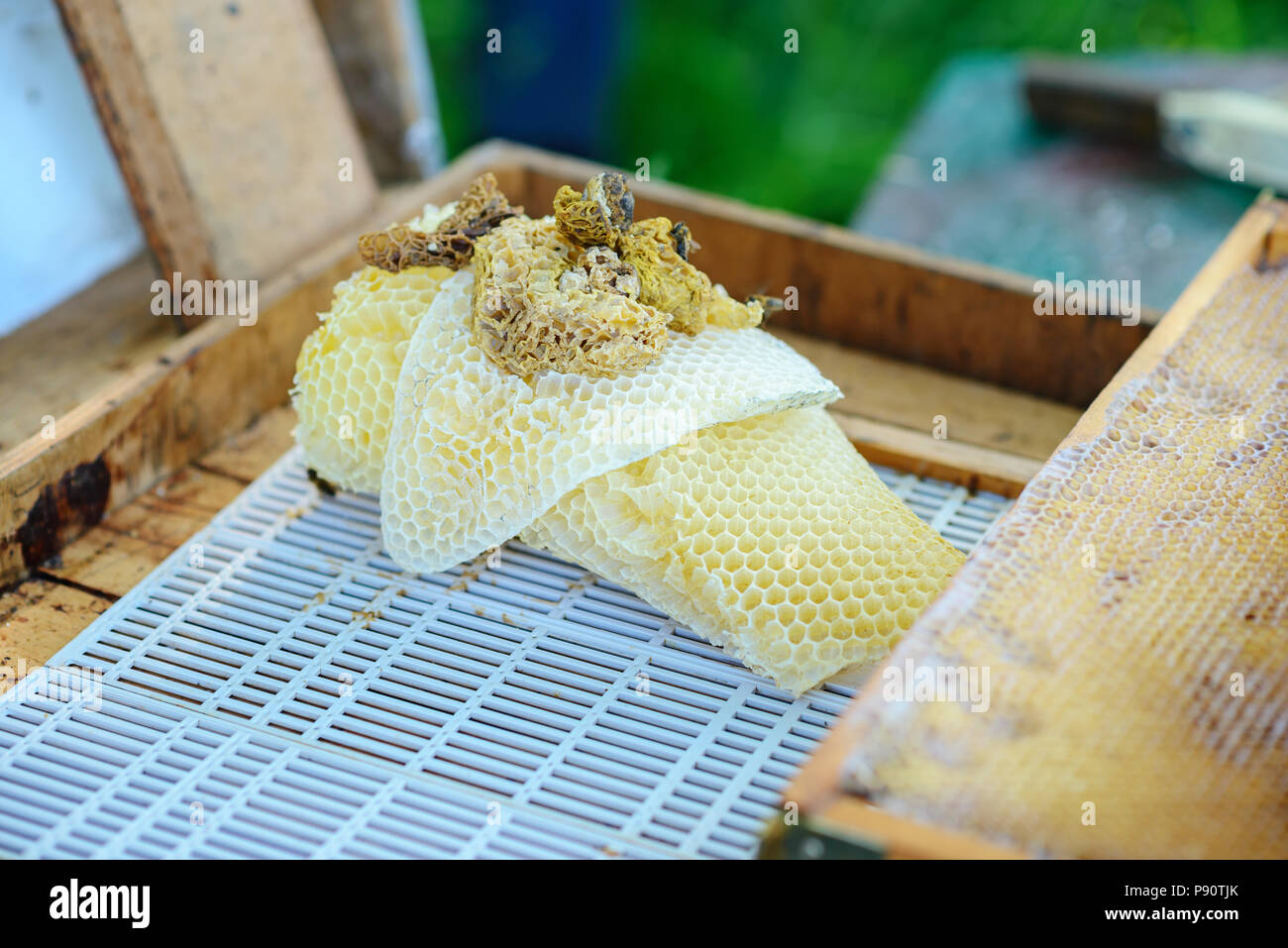 honey frame front view. made of wood and full of honey hided by the wax ...