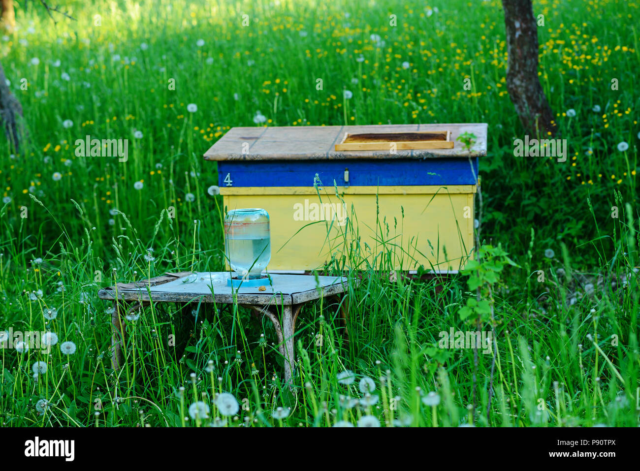 Polish landscape with beehives on ecological field Stock Photo - Alamy