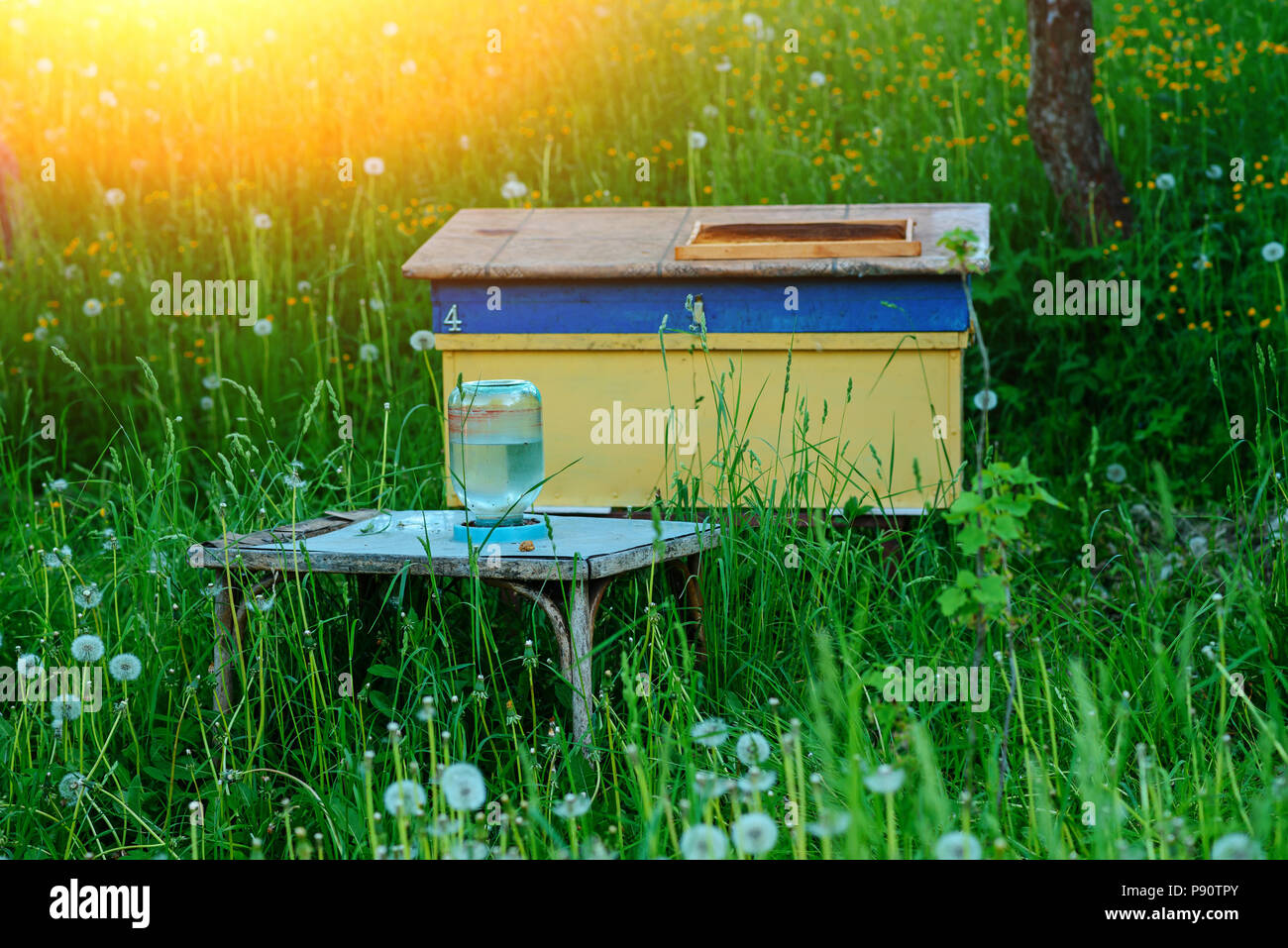 Polish landscape with beehives on ecological field Stock Photo - Alamy