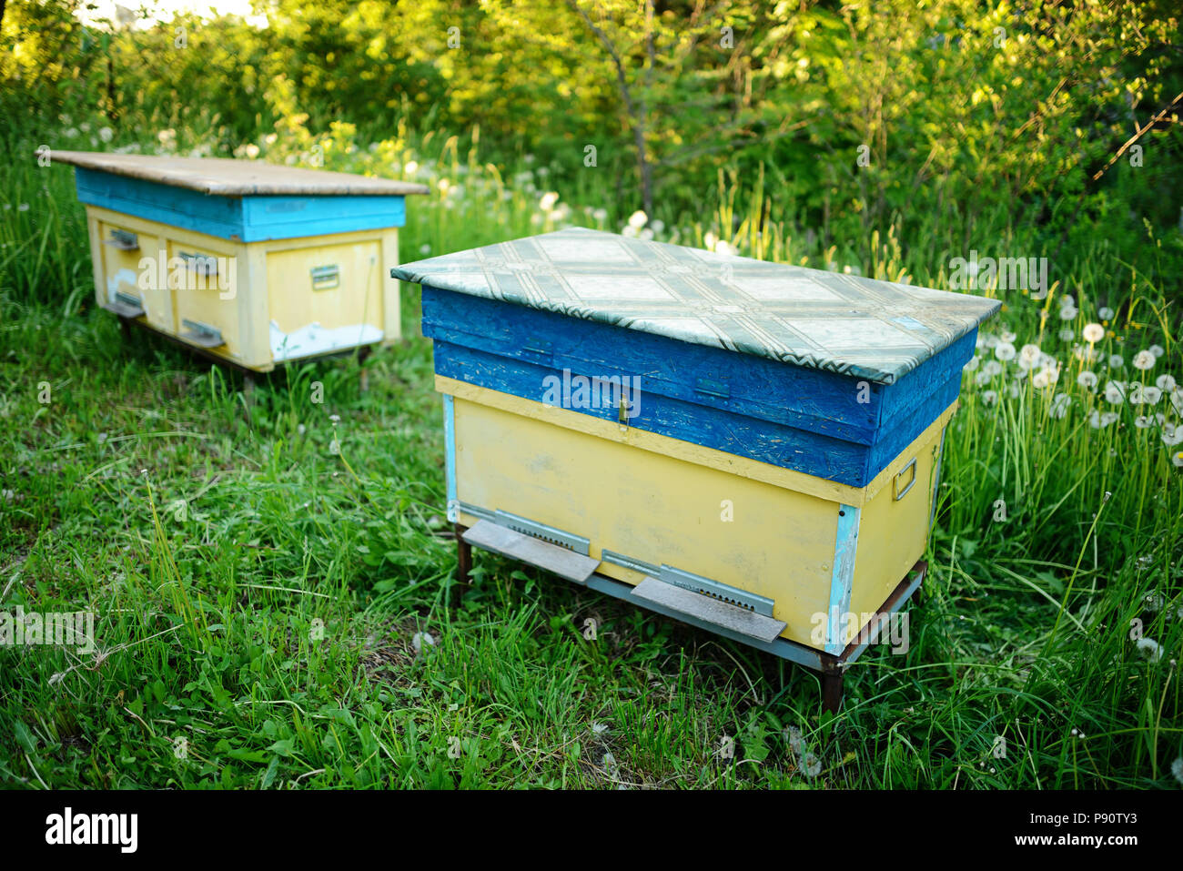 Polish landscape with beehives on ecological field Stock Photo - Alamy