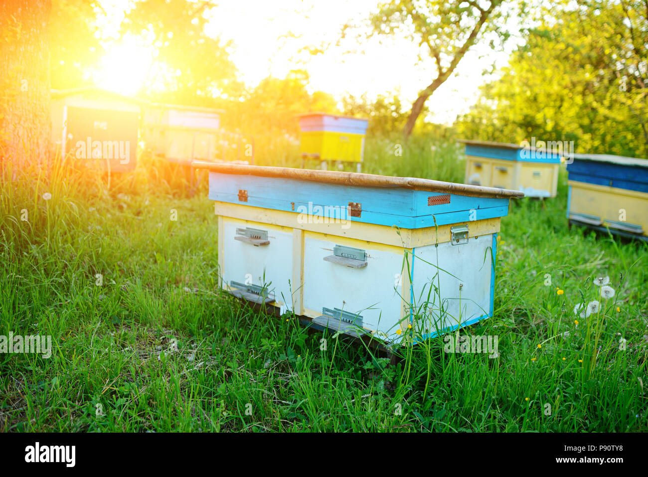Polish landscape with beehives on ecological field Stock Photo - Alamy