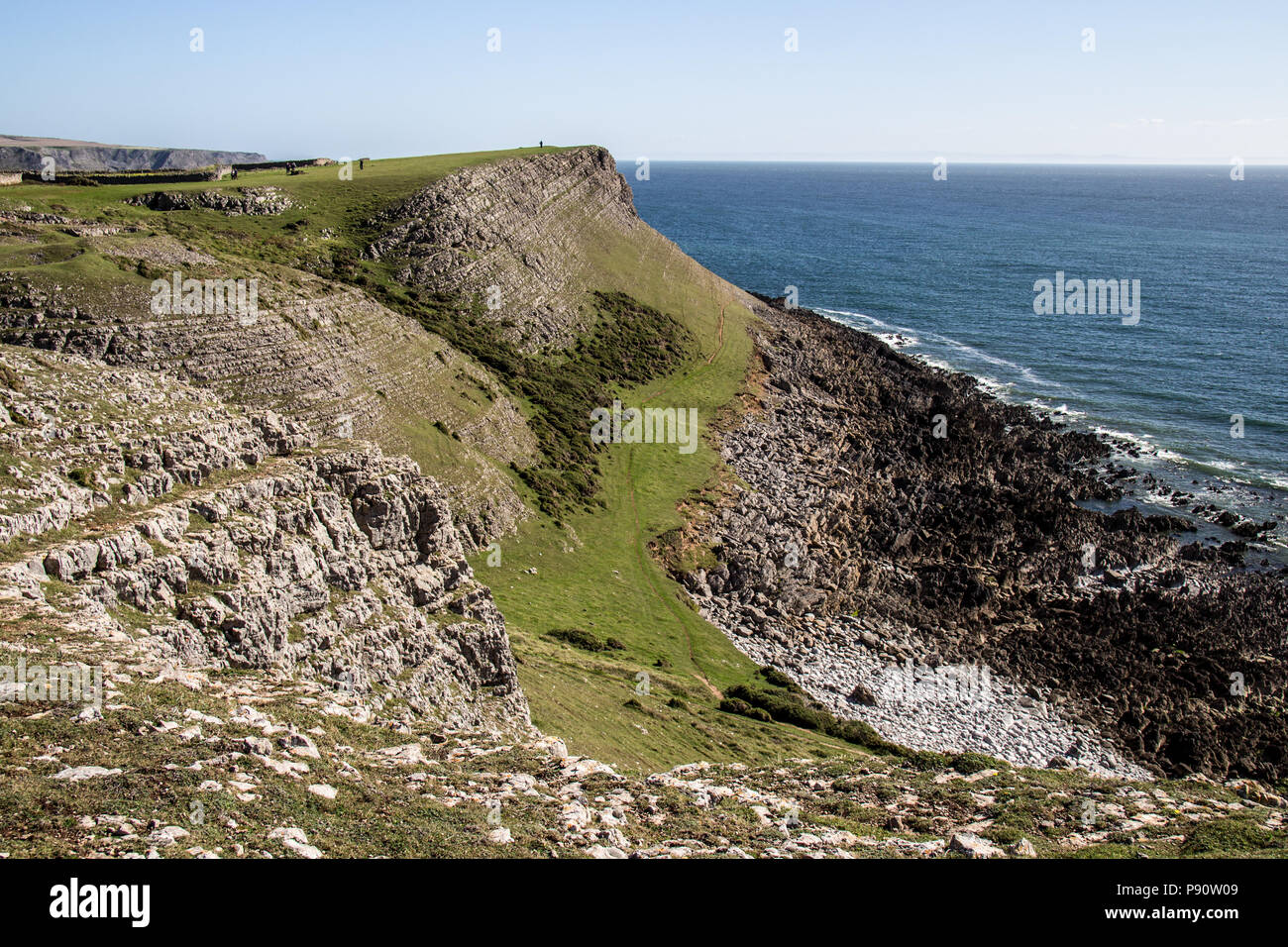 Gower worms head hi-res stock photography and images - Alamy