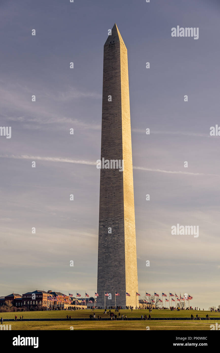 The national Monument surrounded by American flags Stock Photo - Alamy