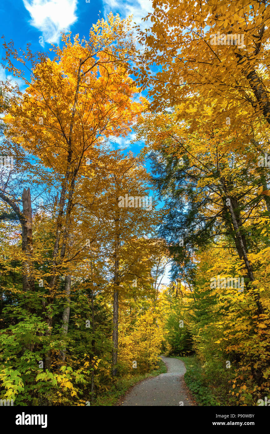 Fall colours in eastern townships hi-res stock photography and images ...