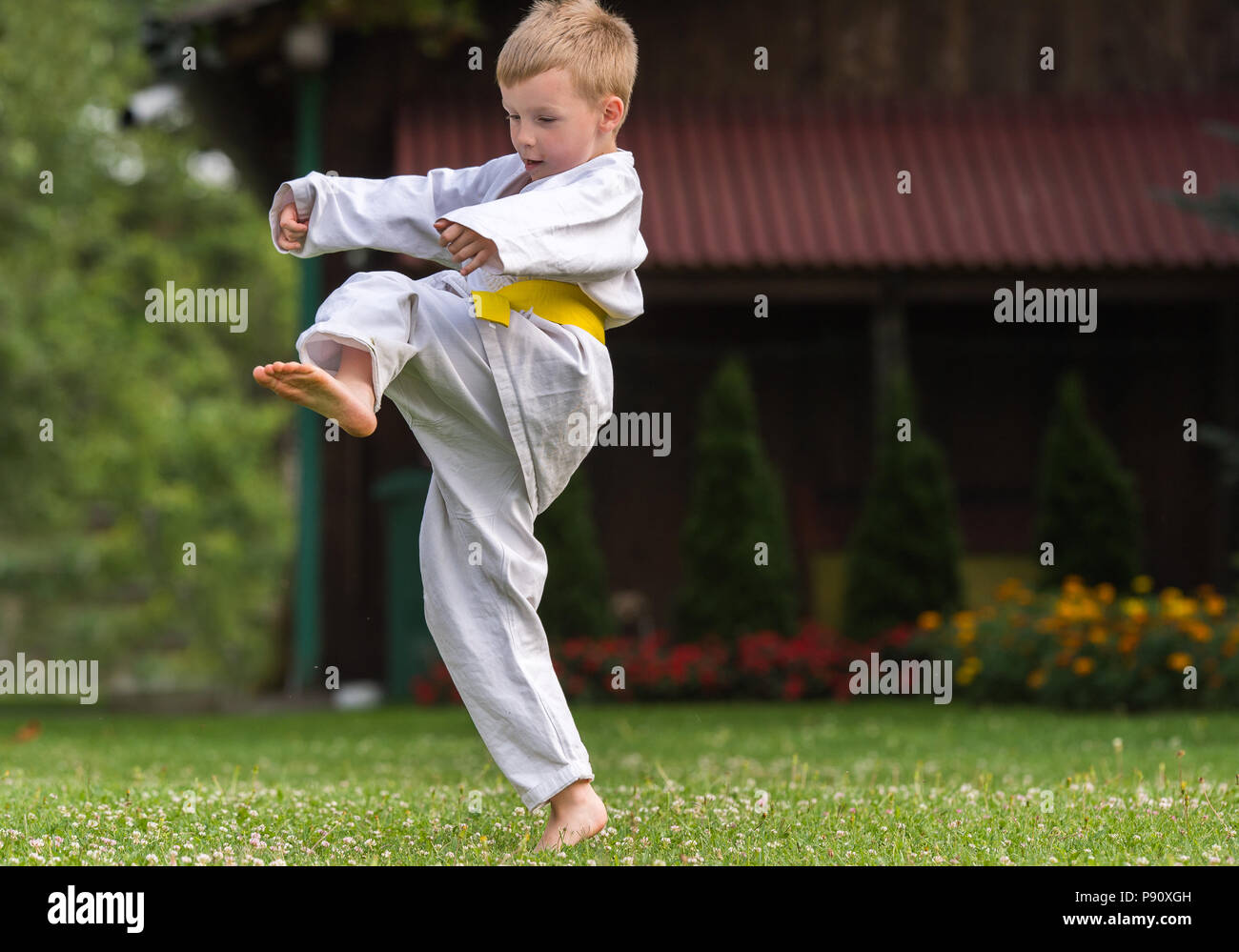 Young boy training karate Stock Photo - Alamy