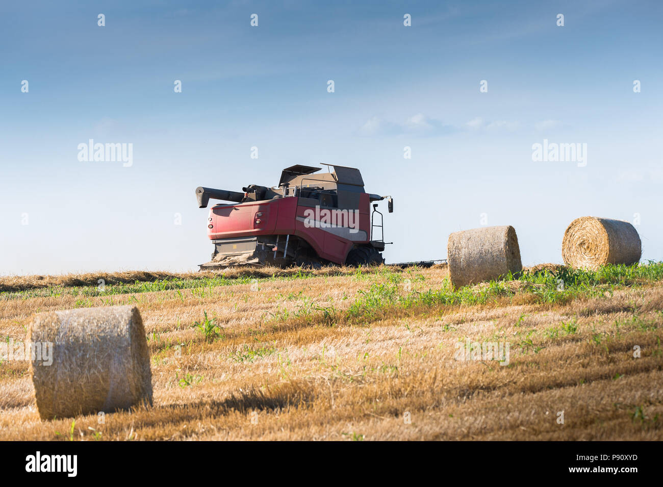 Harvesting of wheat field and the straw bales Stock Photo - Alamy