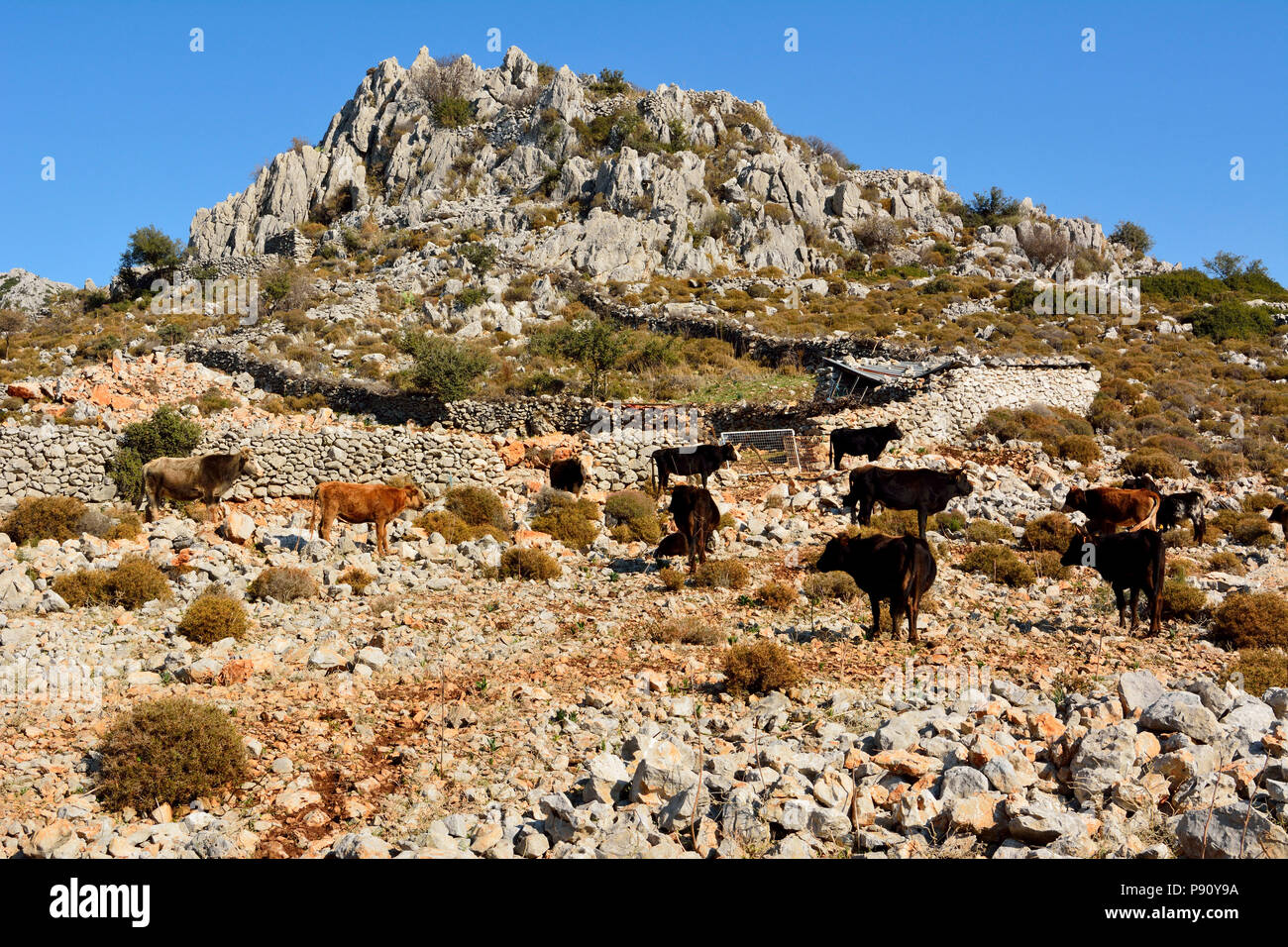 Rocky Mediterranean coastline in Taslica village on Bozburun peninsula ...