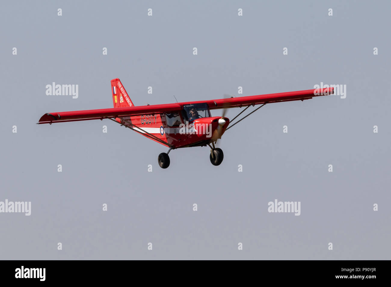 Savanah Jaribu (S) G-CDTY Stock Photo - Alamy