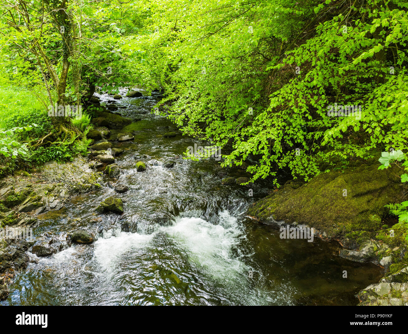 The East Okement River flows north from Dartmoor down through woods and ...