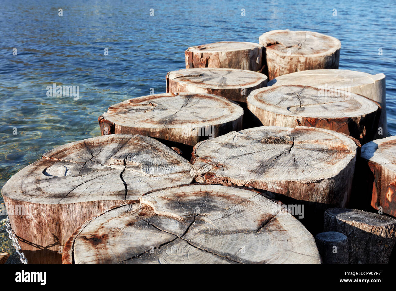 Cross section wooden pine tree trunks in the sea used as landing stage ...