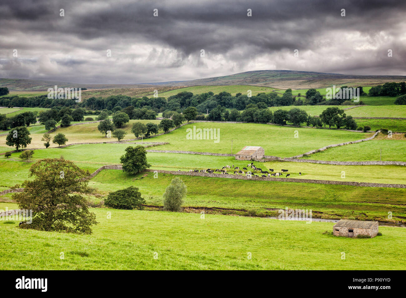 English farm enclosures hi-res stock photography and images - Alamy
