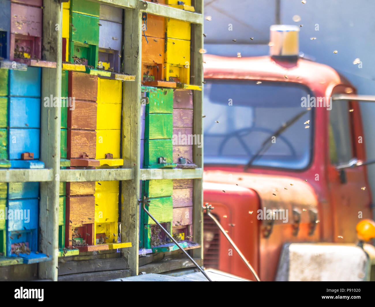 Detail Mobile beehive on lorry with colourful panels on sunny day Stock ...
