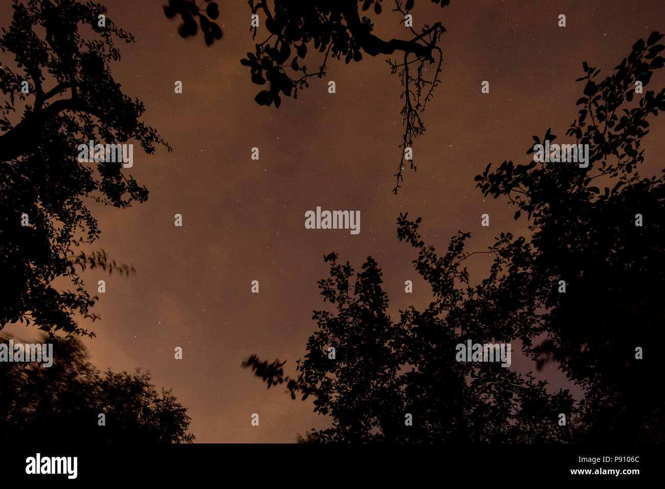 Stars in the sky with light clouds illuminated by light pollution ...