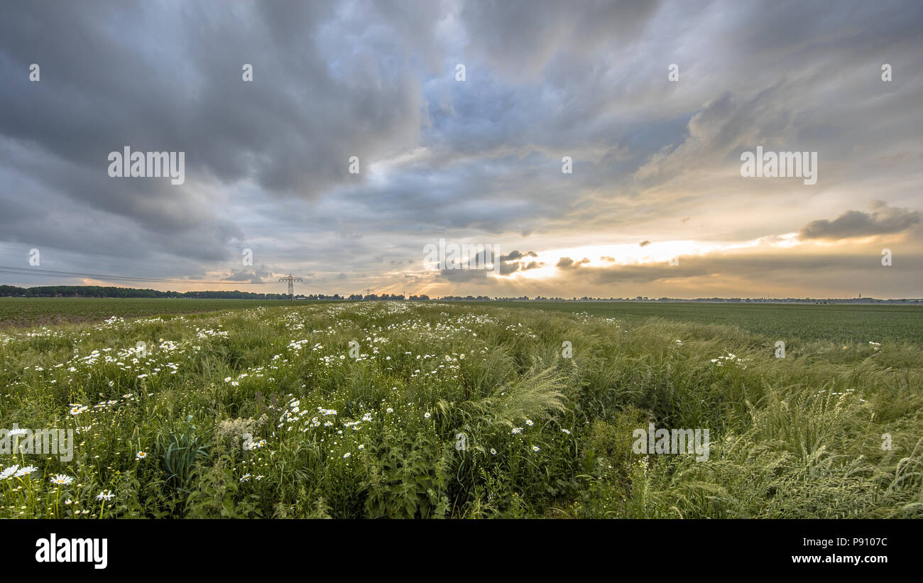 Flat open countryside hi-res stock photography and images - Alamy