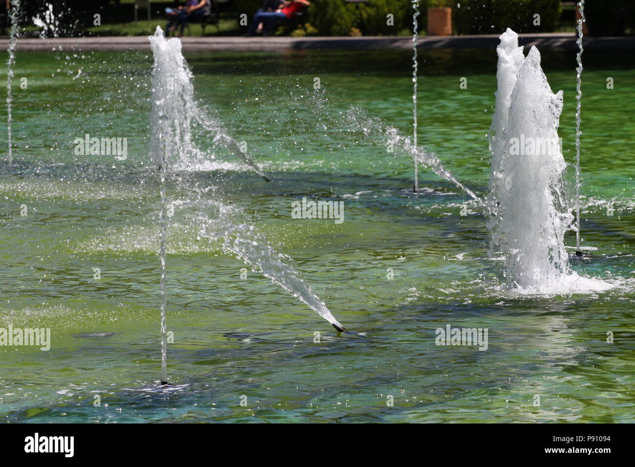 Fountain in a lake. Beautiful view of fountains in a lake with green ...