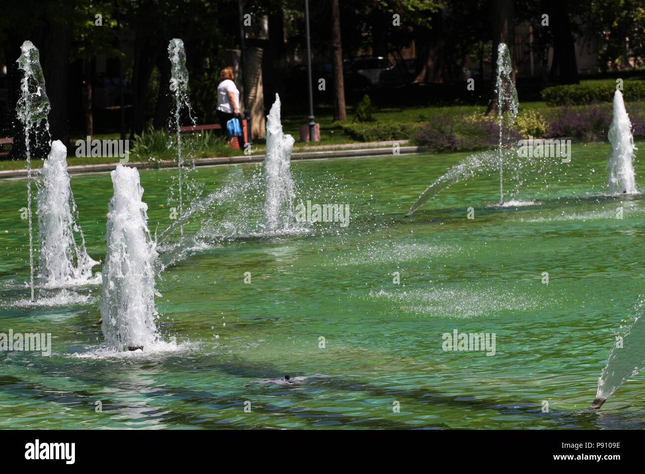 Fountain in a lake. Beautiful view of fountains in a lake with green ...