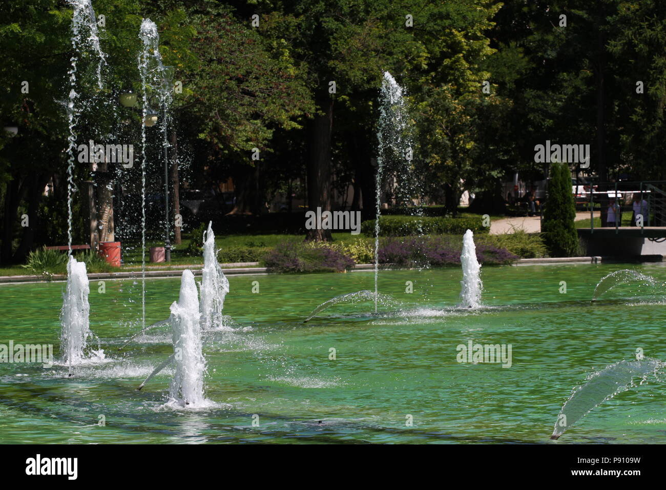 Fountain in a lake. Beautiful view of fountains in a lake with green ...
