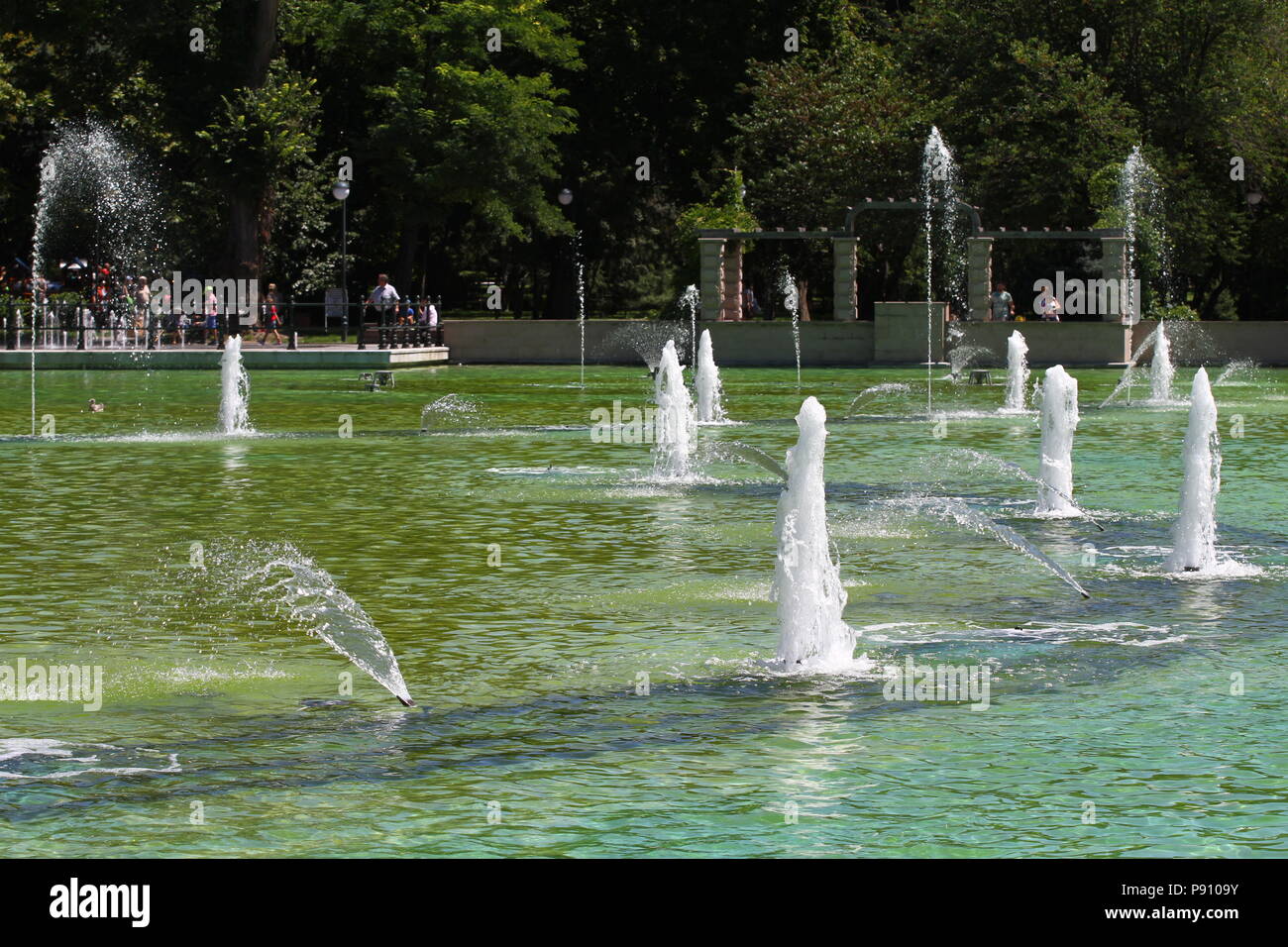 Fountain in a lake. Beautiful view of fountains in a lake with green ...