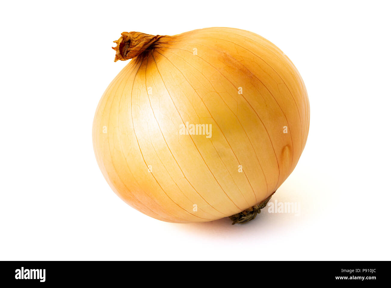 Single onion isolated on white background, clipping path included Stock ...