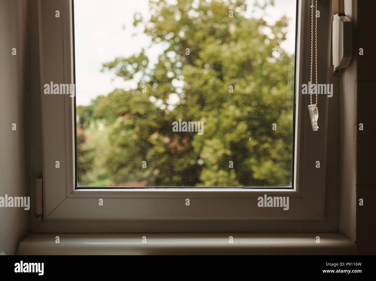 Interesting and simple scene from an ordinary life situation, view from ...