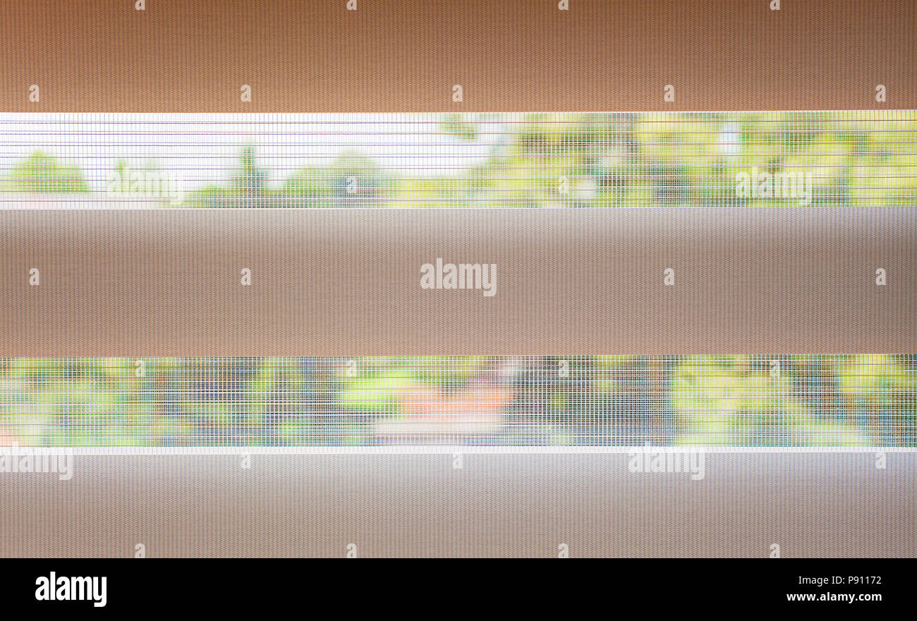 Interesting and simple scene from an ordinary life situation, view from ...