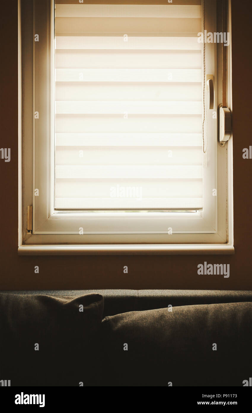 Interesting and simple scene from an ordinary life situation, view from ...