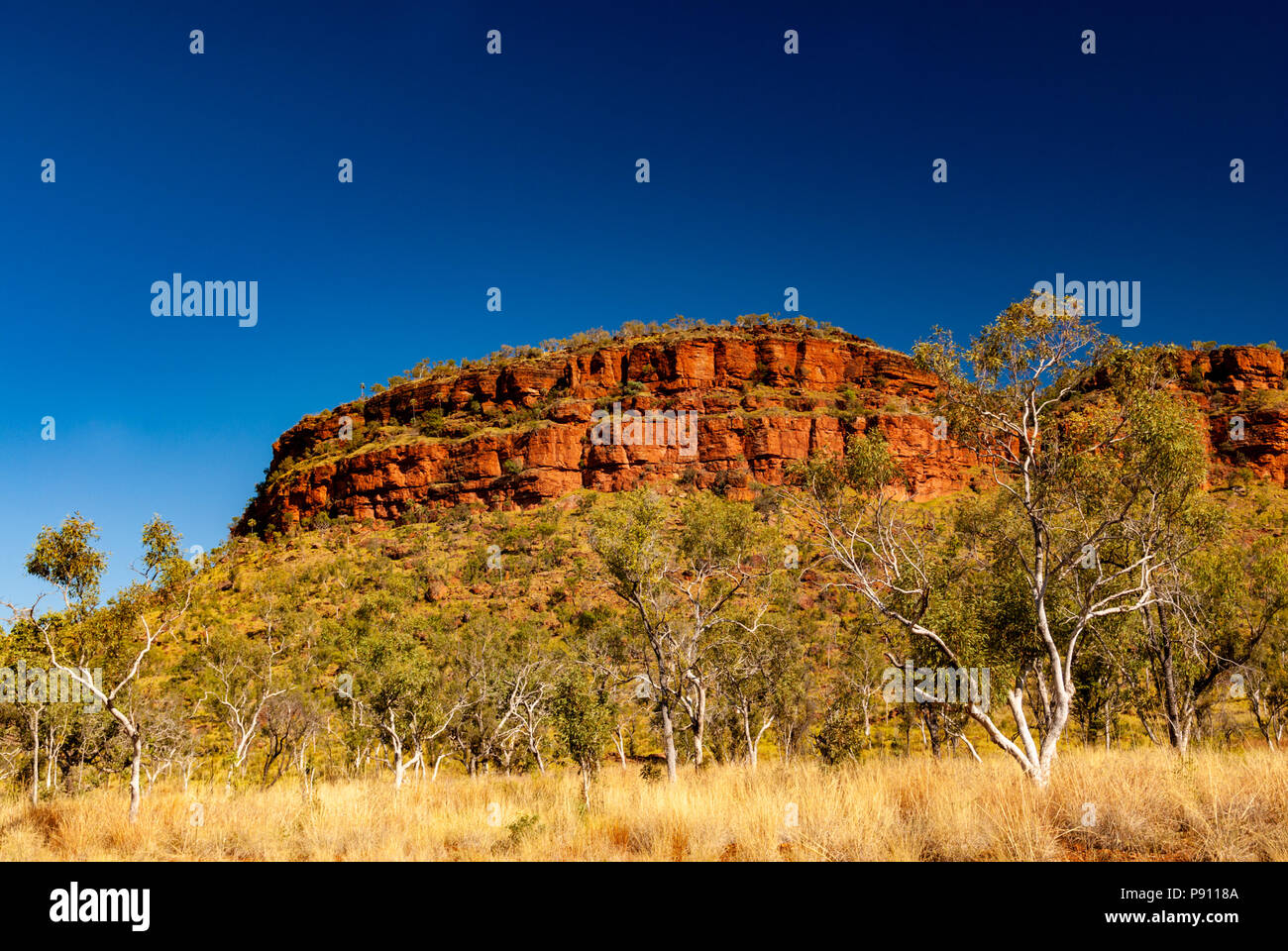 VICTORIA RIVER, JUDBARRA NATIONAL PARK, GREGORY NATIONAL PARK, NORTHERN ...